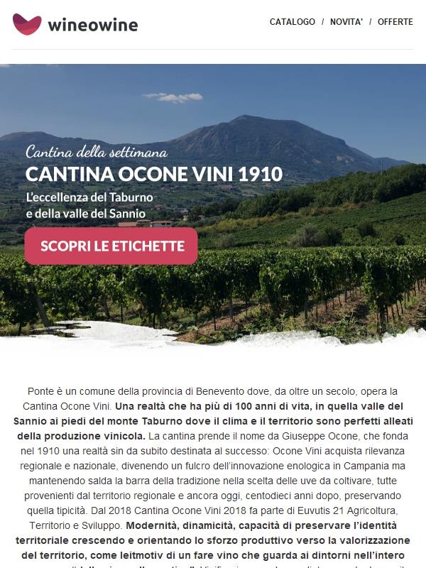 Wineowine: L’eccellenza del Taburno e della valle del Sannio | Jekoo