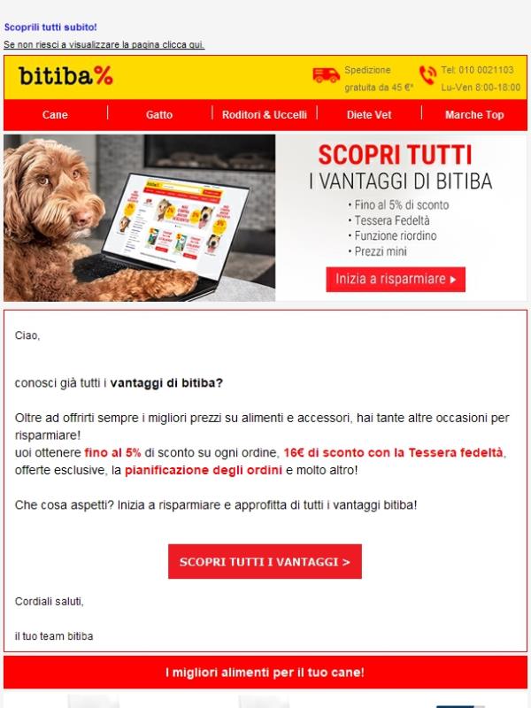 Non conosci ancora tutti i vantaggi di bitiba? | Jekoo