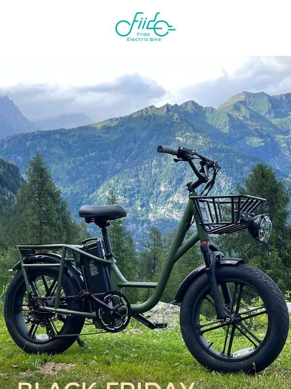 Fiido Electric Bike: Grab the Most Innovative E-bikes Starting from ...
