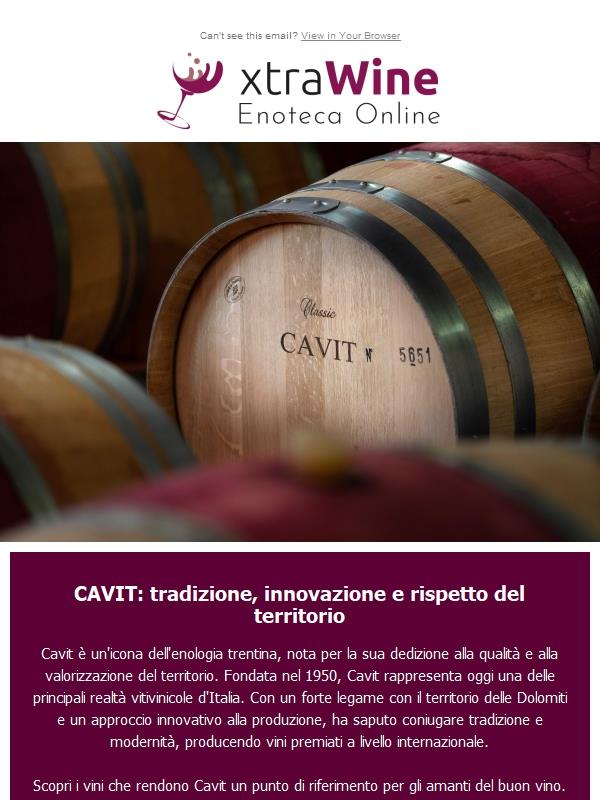 XtraWine: CAVIT: tradizione, innovazione e rispetto del territorio | Jekoo